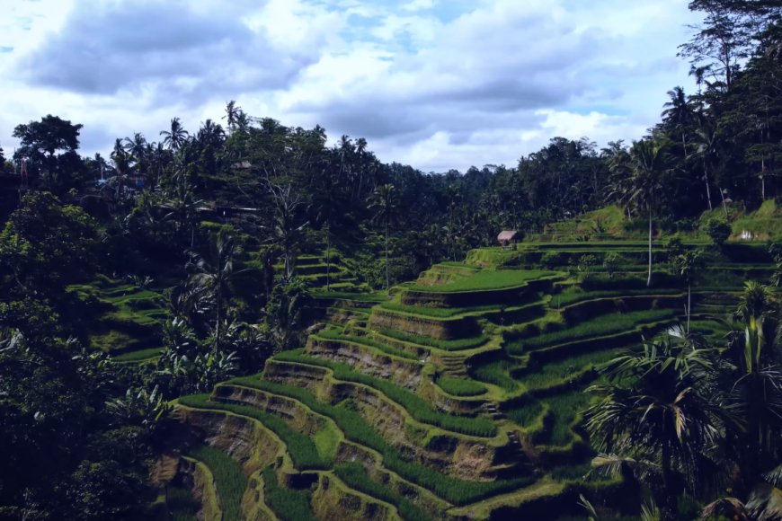 Subak, a UNESCO Cultural Heritage: Embodiment of Harmony Among Nature ...