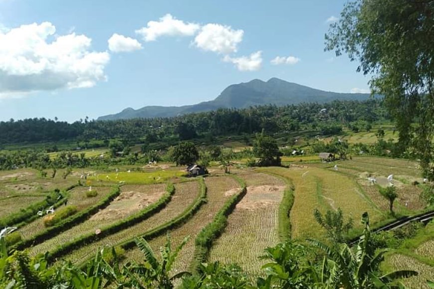 Ababi Traditional Village: Understanding Balinese Cultural Roots and ...