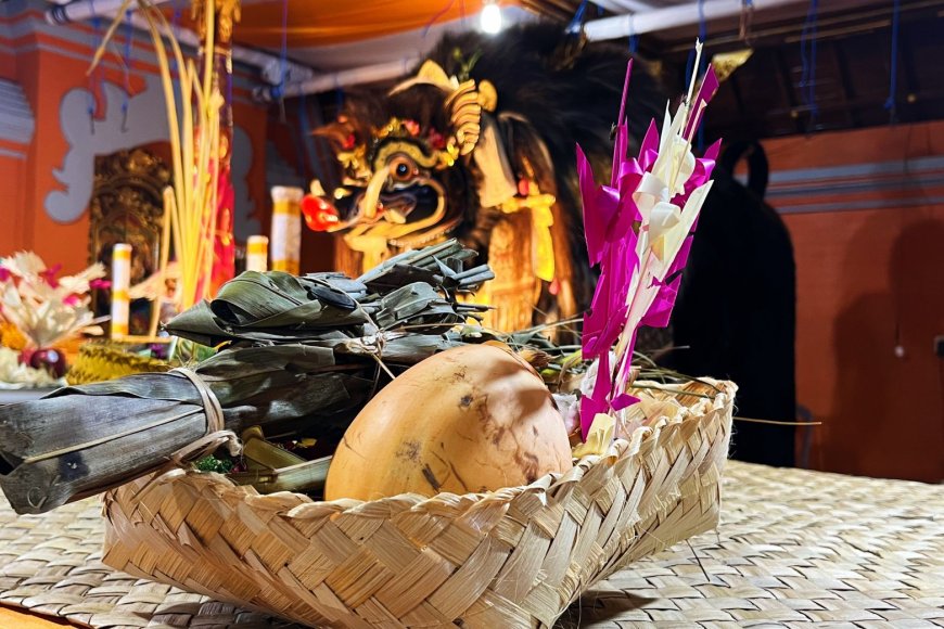 Bungkak Nyuh Gading, Balinese People's Beliefs About Its Benefits ...