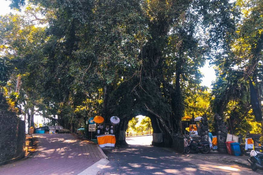 Discovering Natural Wonders in Bali: Bunut Bolong, the Unique Tree with ...