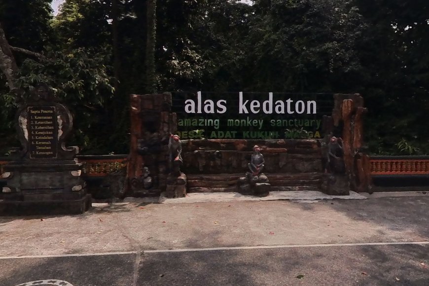 Alas Kedaton: Sebuah Hutan Lindung yang Menyimpan Keunikan dan ...