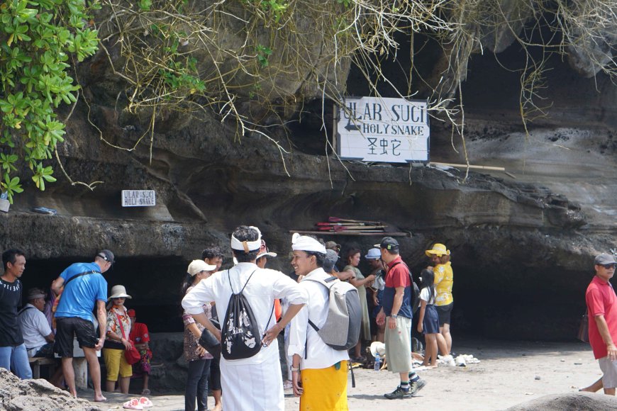 Misteri Goa Ular Suci di Pura Tanah Lot: Kehidupan Mistis dan Kearifan ...