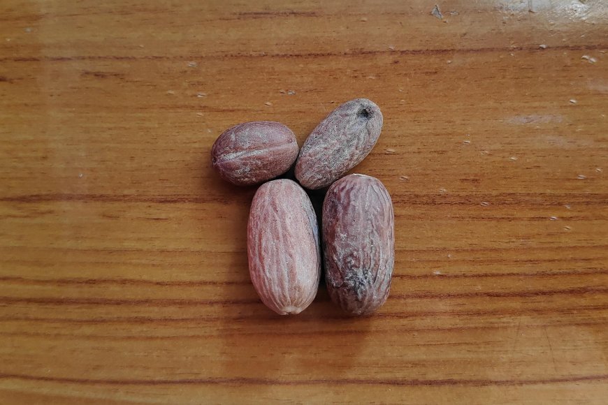Unveiling the Benefits of Nutmeg Seeds: Traditional Remedies for ...