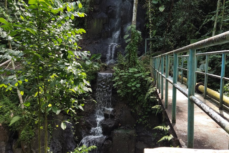 The Beauty of Titi Waterfall: A Hidden Paradise in Nature - Bali Padma ...