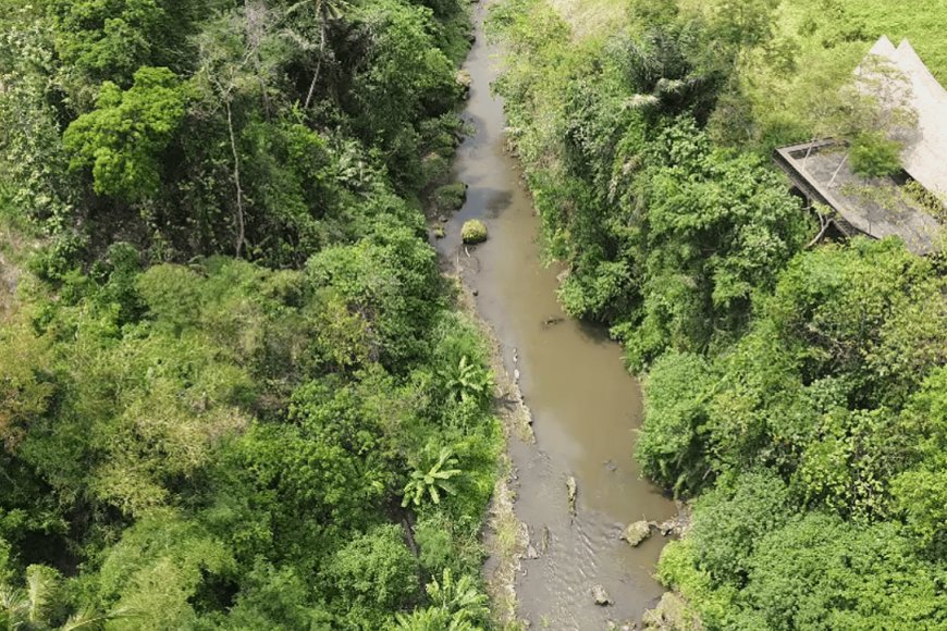 Diving into the Enchantment of Ubud: An Exploration of the Stunning Wos ...