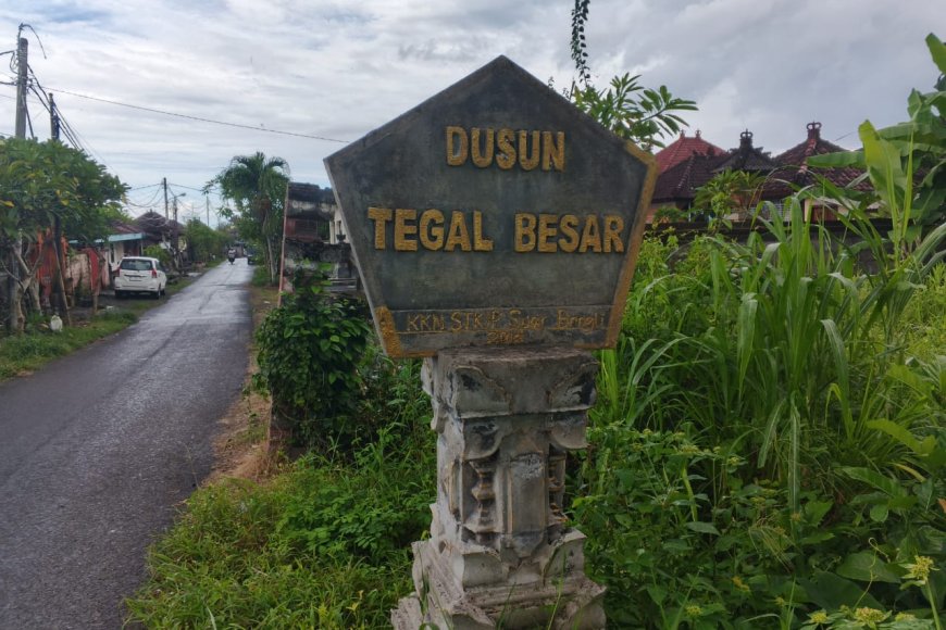 Desa Adat Negari: Harmony Between Tradition, Nature, and the Local ...