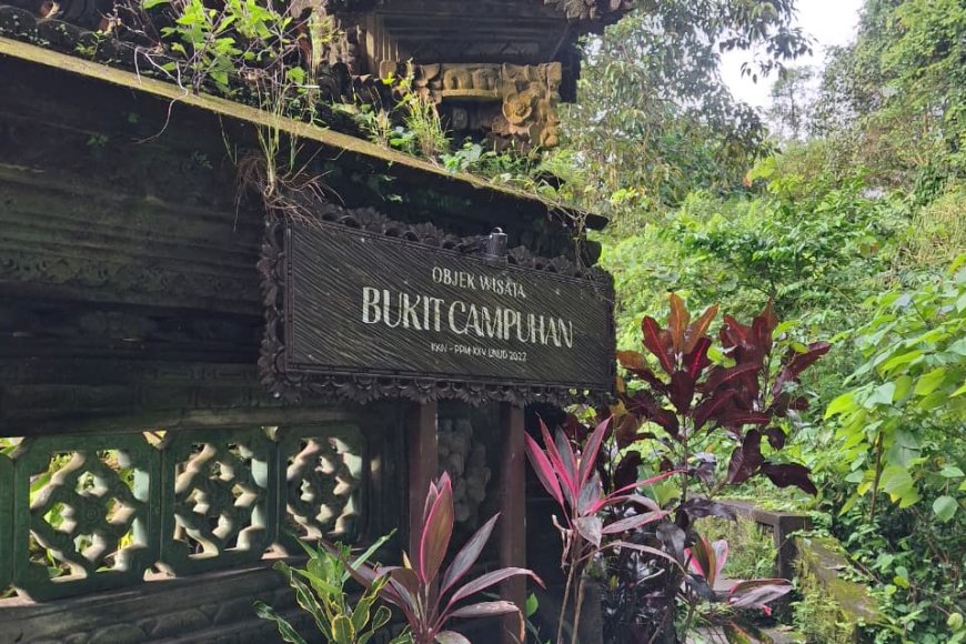 Di Antara Sawah dan Sepi: Pesona Tersembunyi Bukit Campuhan Mini - Bali ...